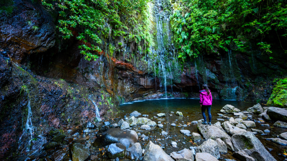 Ką veikti Madeiroje skirtingais metų laikais? - Estravel kelionių agentūra