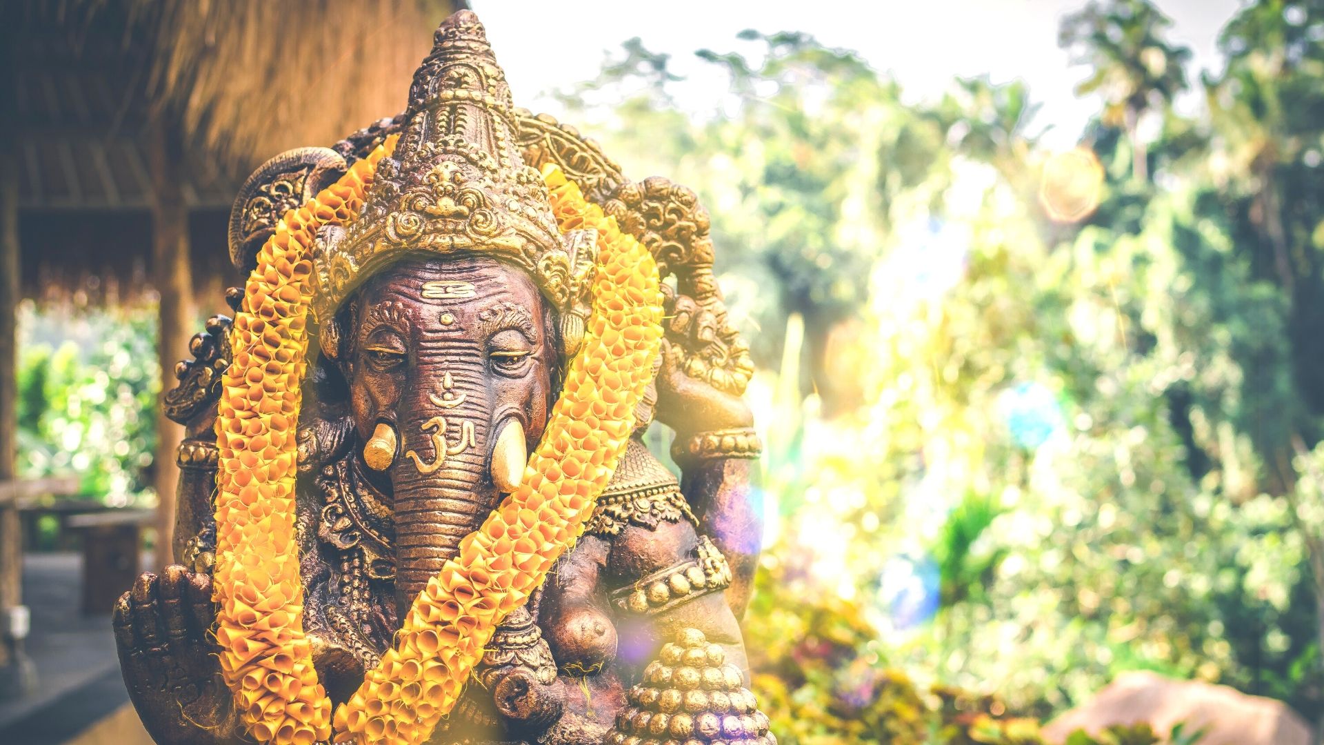 Estravel talentai keliauja – Irenos įspūdžiai iš Indijos - Estravel