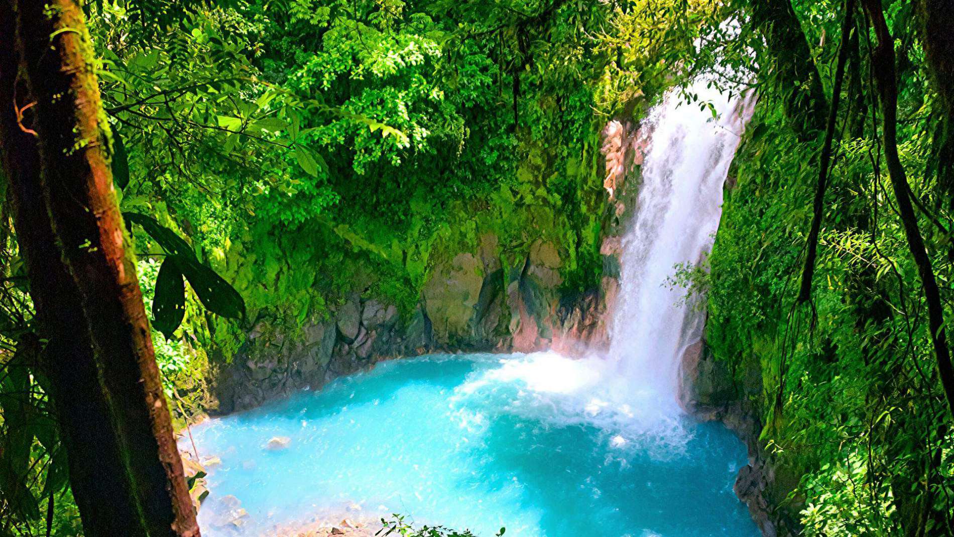 Kosta Rika: lankytinos vietos ir kiti kelionių patarimai planuojantiems ...