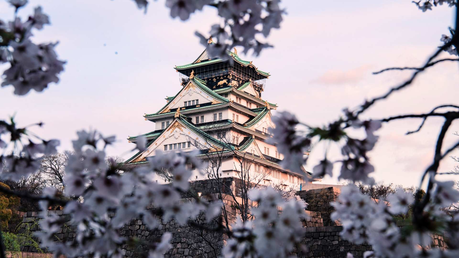 Osaka Japonijoje: skrydžiai nuo gruodžio 12 d. | Estravel kelionių centras